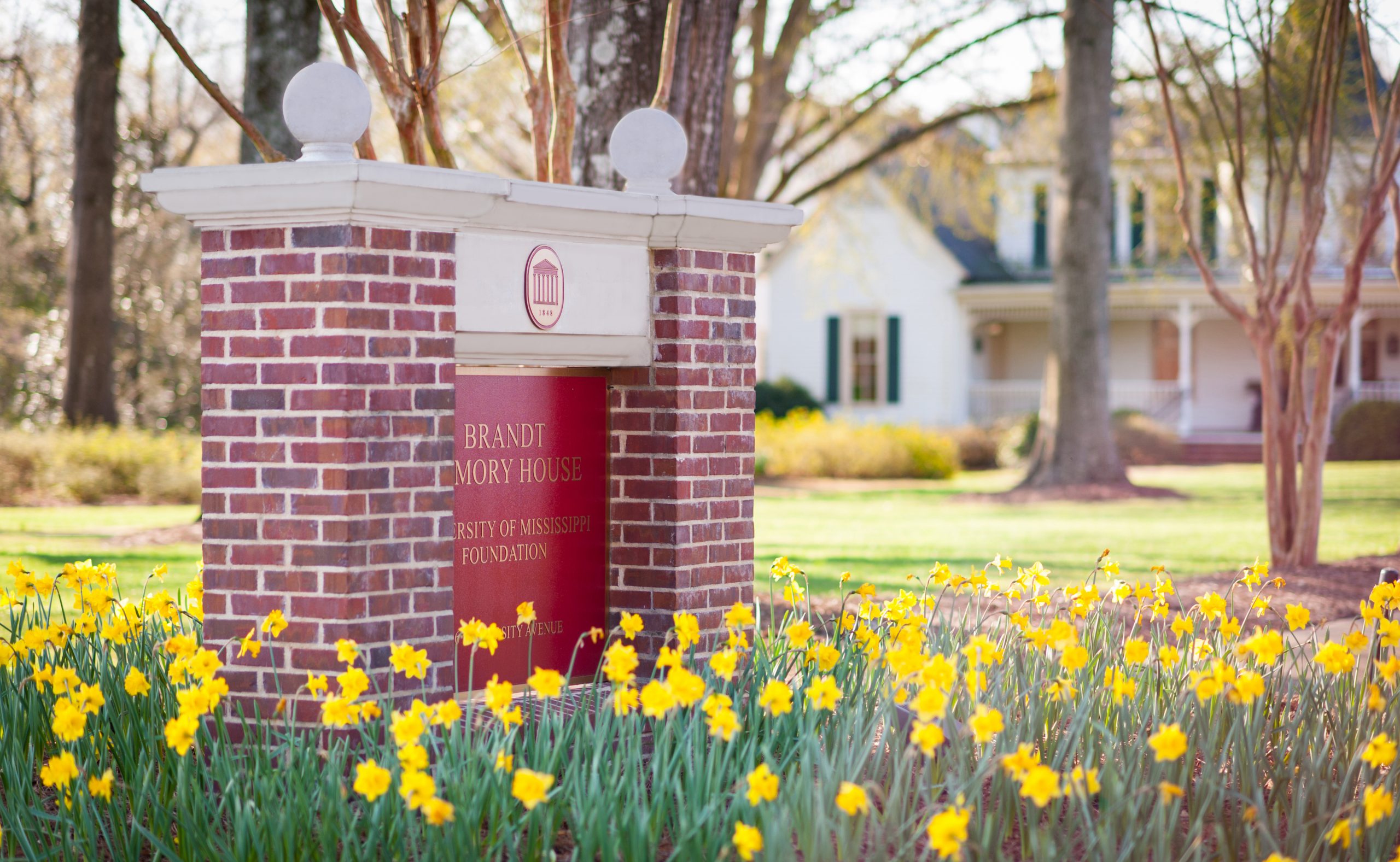 University of Mississippi Foundation - Ole Miss